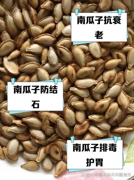 白瓜子是南瓜子吗_白瓜子与南瓜子区别-第1张图片-山城妙识 白瓜子是南瓜子吗_白瓜子与南瓜子区别-第1张图片-山城妙识