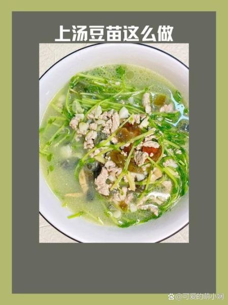 上汤豆苗的功效与作用_上汤豆苗可以减肥吗-第1张图片-山城妙识