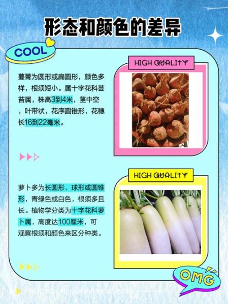 turnip怎么保存不发芽_turnip和萝卜区别-第2张图片-山城妙识 turnip怎么保存不发芽_turnip和萝卜区别-第2张图片-山城妙识