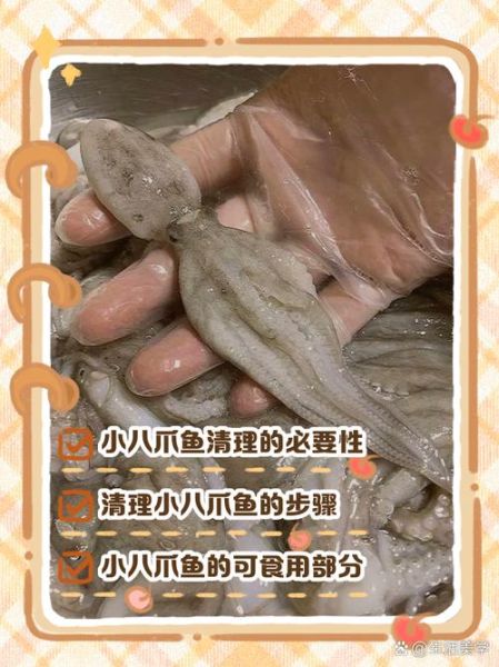 八爪鱼怎么清洗_八爪鱼内脏在哪-第2张图片-山城妙识 八爪鱼怎么清洗_八爪鱼内脏在哪-第2张图片-山城妙识