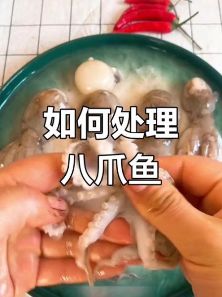 八爪鱼怎么清洗_八爪鱼内脏在哪-第3张图片-山城妙识 八爪鱼怎么清洗_八爪鱼内脏在哪-第3张图片-山城妙识