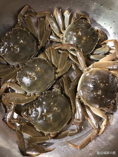 清蒸河蟹多长时间_清蒸河蟹冷水还是热水下锅-第2张图片-山城妙识 清蒸河蟹多长时间_清蒸河蟹冷水还是热水下锅-第2张图片-山城妙识