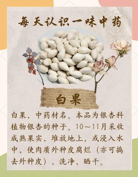 白果治妇科病每天吃几粒_白果一天吃多少粒合适-第1张图片-山城妙识