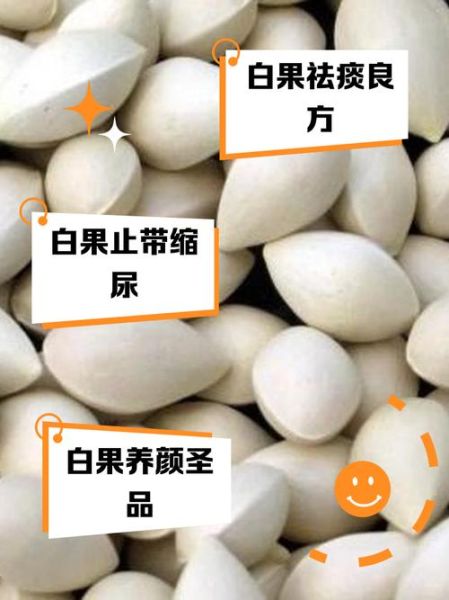 白果治妇科病每天吃几粒_白果一天吃多少粒合适-第3张图片-山城妙识