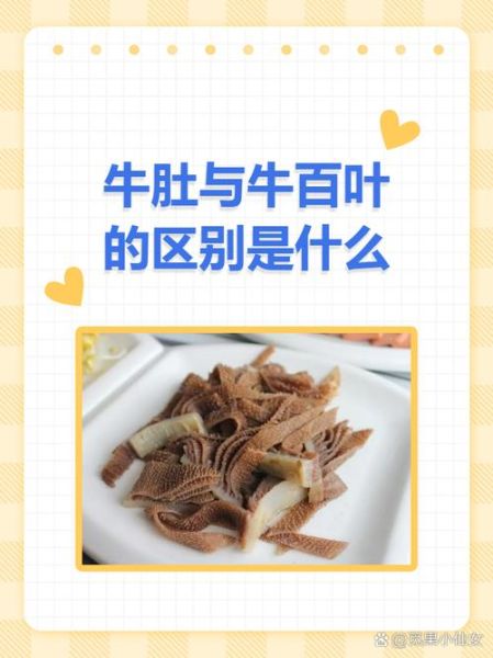 毛肚和牛百叶一样吗_毛肚和牛百叶的区别-第2张图片-山城妙识