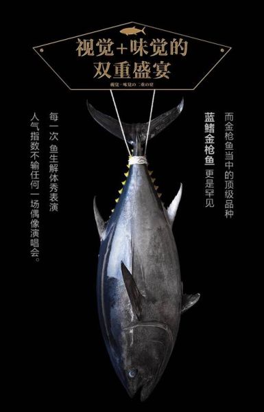 蓝鳍金枪鱼最大记录_世界纪录是多少-第1张图片-山城妙识