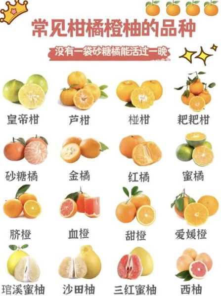 柑和橘的区别_柑和橘哪个好吃-第2张图片-山城妙识