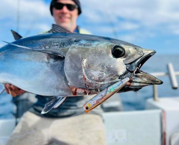 蓝鳍金枪鱼最大记录_世界纪录是多少-第3张图片-山城妙识