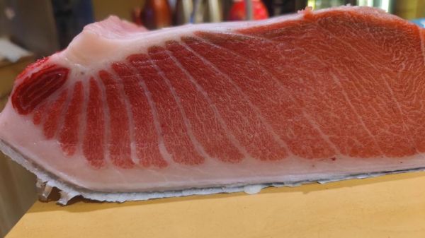 蓝鳍金枪鱼最大记录_世界纪录是多少-第2张图片-山城妙识