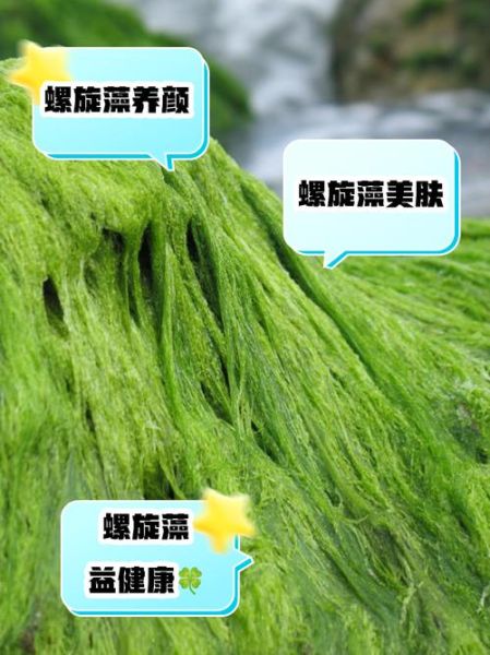 女人吃螺旋藻的好处_螺旋藻对女性有哪些功效-第1张图片-山城妙识 女人吃螺旋藻的好处_螺旋藻对女性有哪些功效-第1张图片-山城妙识