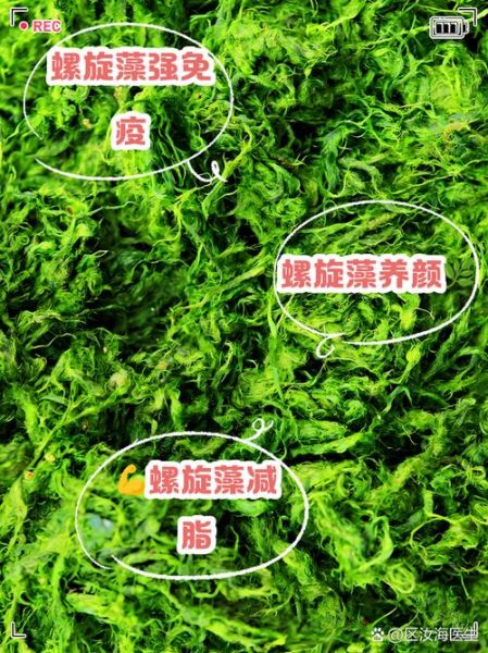 女人吃螺旋藻的好处_螺旋藻对女性有哪些功效-第3张图片-山城妙识 女人吃螺旋藻的好处_螺旋藻对女性有哪些功效-第3张图片-山城妙识