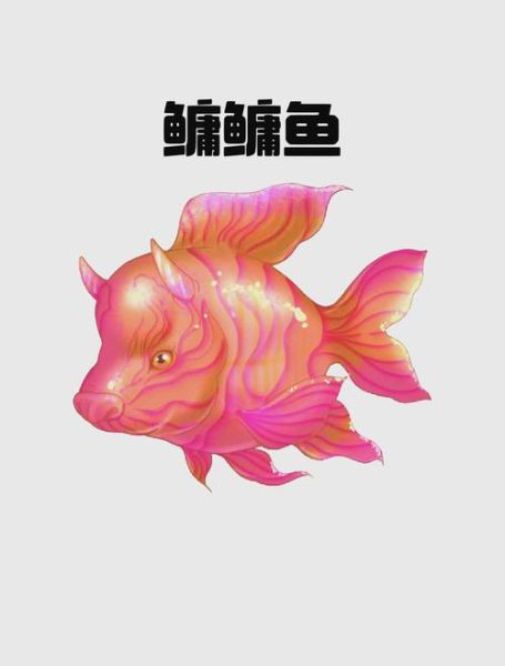 鳙怎么读音_鳙鱼是什么鱼-第1张图片-山城妙识