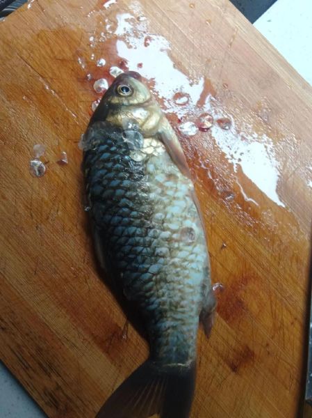 怎样熬鲫鱼汤更有营养_鲫鱼汤怎么熬才白-第1张图片-山城妙识 怎样熬鲫鱼汤更有营养_鲫鱼汤怎么熬才白-第1张图片-山城妙识