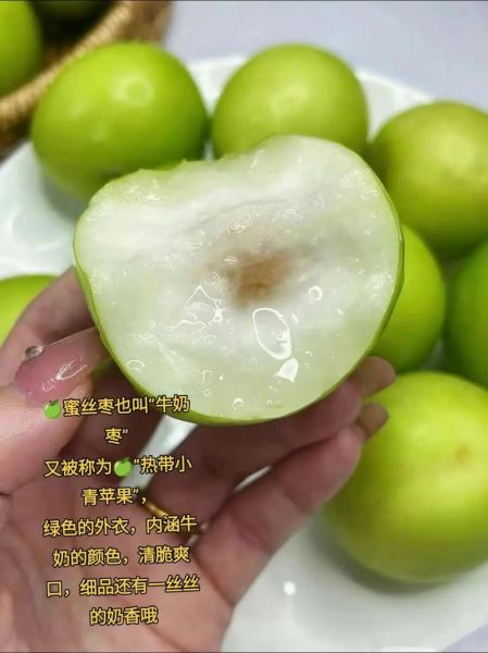 蜜枣儿怎么读_蜜枣儿读音是什么-第1张图片-山城妙识