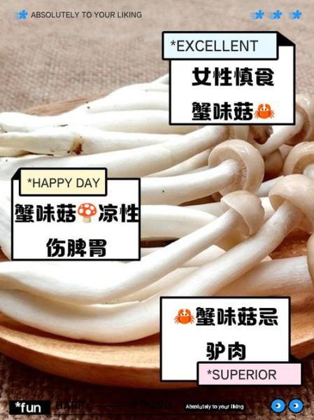 海鲜菇什么人不能吃_海鲜菇过敏症状有哪些-第3张图片-山城妙识 海鲜菇什么人不能吃_海鲜菇过敏症状有哪些-第3张图片-山城妙识