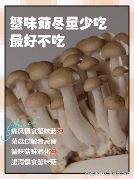 海鲜菇什么人不能吃_海鲜菇过敏症状有哪些-第1张图片-山城妙识 海鲜菇什么人不能吃_海鲜菇过敏症状有哪些-第1张图片-山城妙识