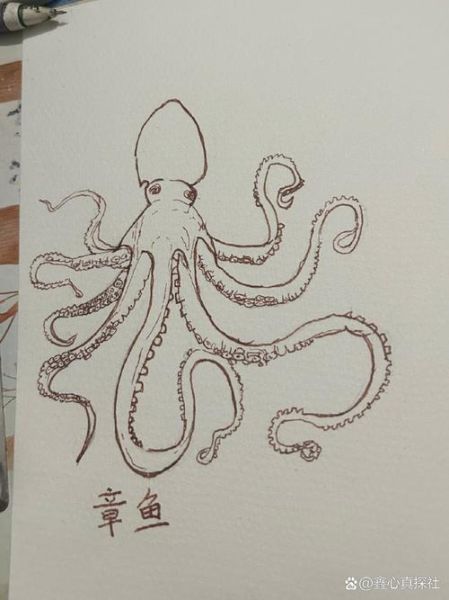 章鱼简笔画怎么画_章鱼简笔画图片大全-第2张图片-山城妙识