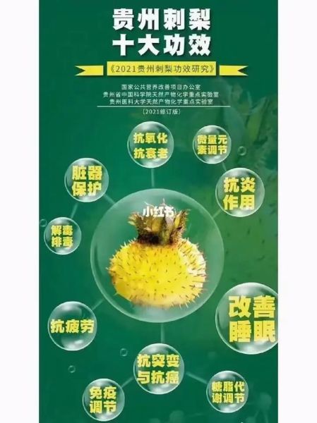 野生刺梨的作用是什么_野生刺梨的功效与禁忌-第1张图片-山城妙识 野生刺梨的作用是什么_野生刺梨的功效与禁忌-第1张图片-山城妙识