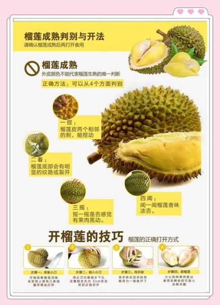 榴莲没熟怎么存放熟得快_榴莲不熟放几天能熟-第2张图片-山城妙识
