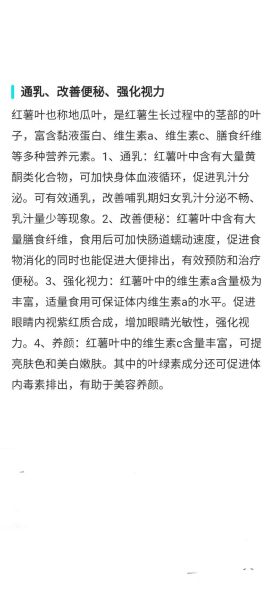 红薯叶子能吃吗_红薯叶子的营养价值-第2张图片-山城妙识 红薯叶子能吃吗_红薯叶子的营养价值-第2张图片-山城妙识