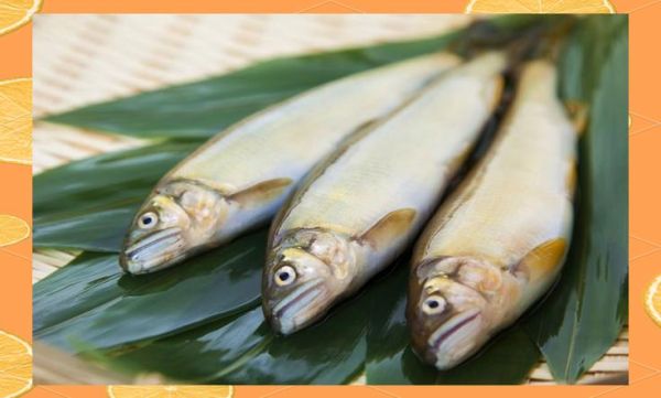 日本的香鱼是什么鱼_香鱼为什么叫香鱼-第3张图片-山城妙识 日本的香鱼是什么鱼_香鱼为什么叫香鱼-第3张图片-山城妙识