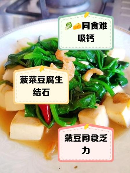 豆腐菠菜能一起吃吗_菠菜豆腐同食真相-第2张图片-山城妙识 豆腐菠菜能一起吃吗_菠菜豆腐同食真相-第2张图片-山城妙识