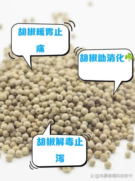 经常吃胡椒对身体有什么好处_胡椒吃多了会上火吗-第2张图片-山城妙识 经常吃胡椒对身体有什么好处_胡椒吃多了会上火吗-第2张图片-山城妙识