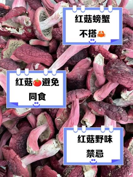红菇不能和什么一起吃_红菇相克食物有哪些-第1张图片-山城妙识