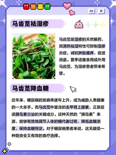 马齿苋的功效与作用_马齿苋怎么吃好-第1张图片-山城妙识