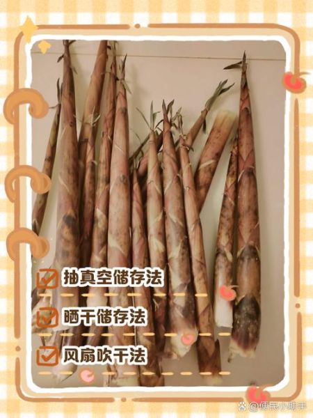 新鲜冬笋怎么保存_冬笋能放冰箱多久-第3张图片-山城妙识
