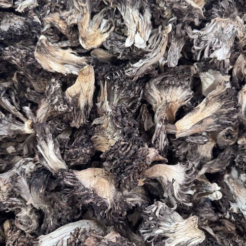 干巴菌多少钱一斤_干巴菌价格为什么这么贵-第2张图片-山城妙识