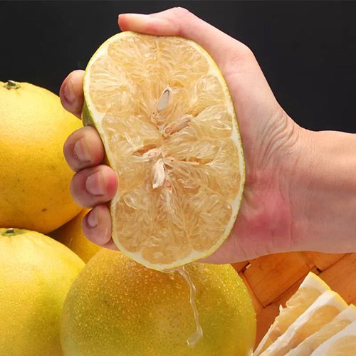 葡萄柚图片大全_如何挑选新鲜葡萄柚-第3张图片-山城妙识 葡萄柚图片大全_如何挑选新鲜葡萄柚-第3张图片-山城妙识