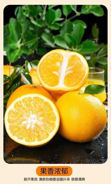 葡萄柚图片大全_如何挑选新鲜葡萄柚-第2张图片-山城妙识 葡萄柚图片大全_如何挑选新鲜葡萄柚-第2张图片-山城妙识