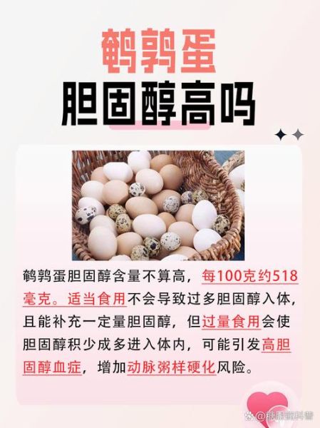 鹌鹑蛋过敏症状_鹌鹑蛋胆固醇高吗-第1张图片-山城妙识