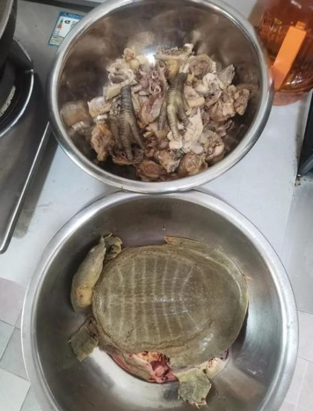 徐州霸王别姬菜是什么_徐州霸王别姬菜怎么做-第3张图片-山城妙识