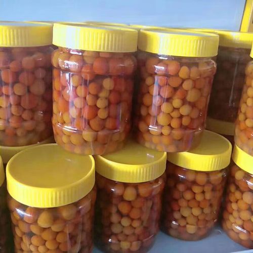 咸金桔怎么腌制_咸金桔腌制多久可以吃-第2张图片-山城妙识