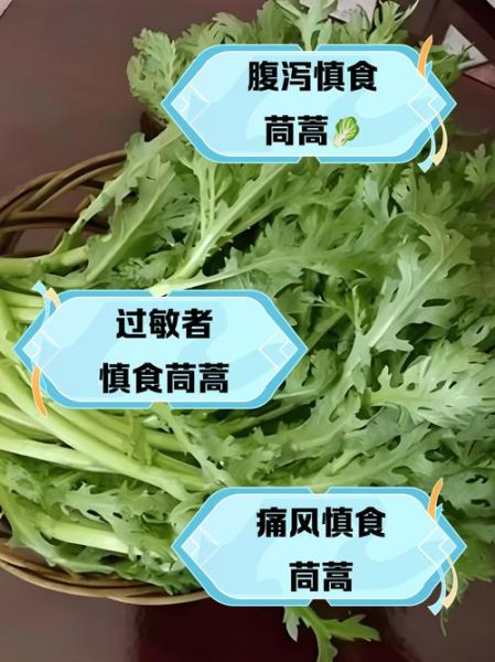 茼蒿菜吃多了有什么坏处_茼蒿菜哪些人不能吃-第1张图片-山城妙识 茼蒿菜吃多了有什么坏处_茼蒿菜哪些人不能吃-第1张图片-山城妙识