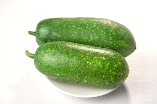 冬瓜图片可爱_冬瓜为什么看起来萌萌哒-第2张图片-山城妙识