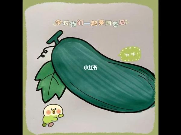 冬瓜图片可爱_冬瓜为什么看起来萌萌哒-第1张图片-山城妙识