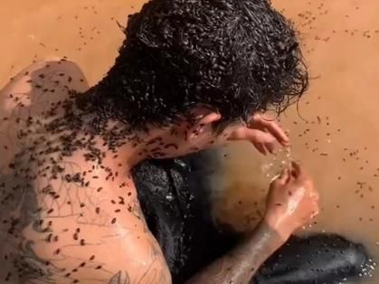 密集恐惧症图片_如何缓解不适-第3张图片-山城妙识 密集恐惧症图片_如何缓解不适-第3张图片-山城妙识