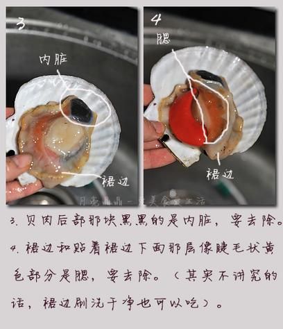扇贝怎么做_扇贝怎么清洗-第2张图片-山城妙识