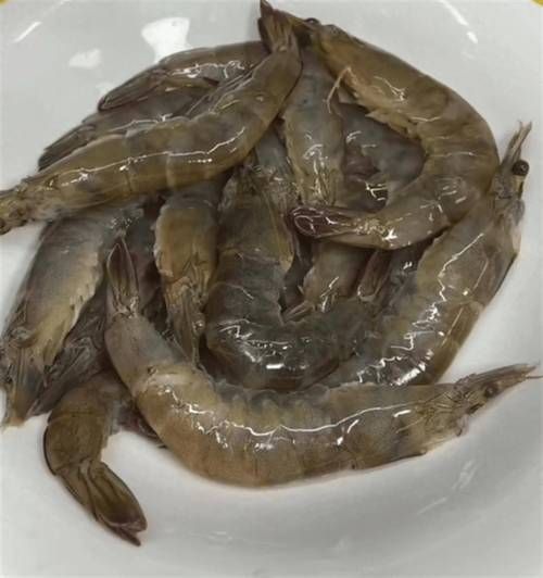 大虾图片大全_如何挑选高清无水印素材-第1张图片-山城妙识 大虾图片大全_如何挑选高清无水印素材-第1张图片-山城妙识