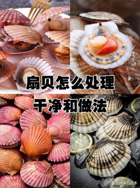 扇贝怎么做_扇贝怎么清洗-第3张图片-山城妙识