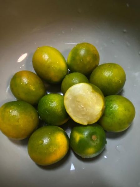 小金桔怎么吃_小金桔的吃法大全-第1张图片-山城妙识 小金桔怎么吃_小金桔的吃法大全-第1张图片-山城妙识