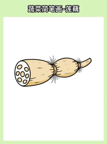 蔬菜简笔画怎么画_适合儿童的蔬菜简笔画教程-第3张图片-山城妙识