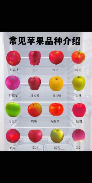 苹果有哪些品种_哪种苹果最好吃-第2张图片-山城妙识