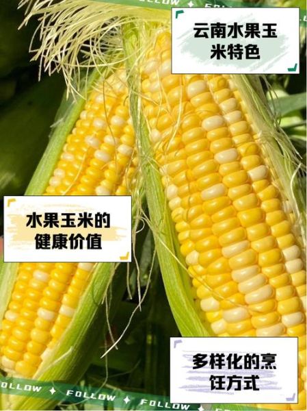 水果玉米种植技术_如何提高甜度-第1张图片-山城妙识