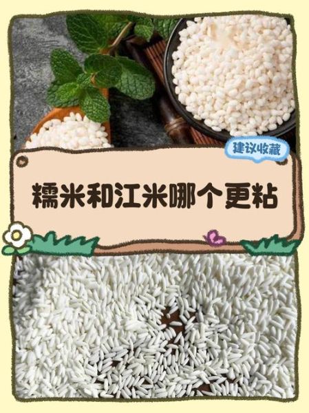 江米和糯米的功效区别_江米和糯米哪个更养胃-第3张图片-山城妙识