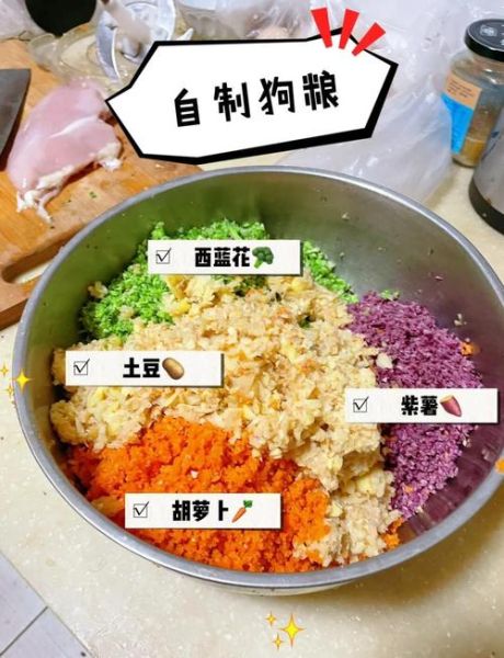 如何在家做狗粮_自制狗粮简单又方便-第1张图片-山城妙识