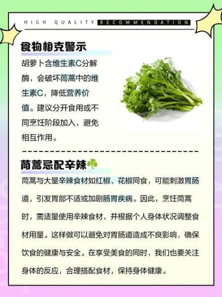茼蒿菜不能和什么一起吃_茼蒿菜与哪些食物相克-第2张图片-山城妙识